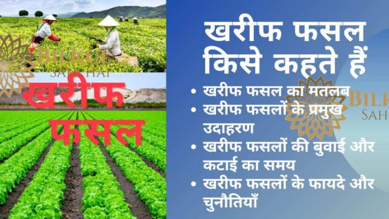 खरीफ फसल किसे कहते हैं: जानें इसके फायदे और प्रकार — 2025